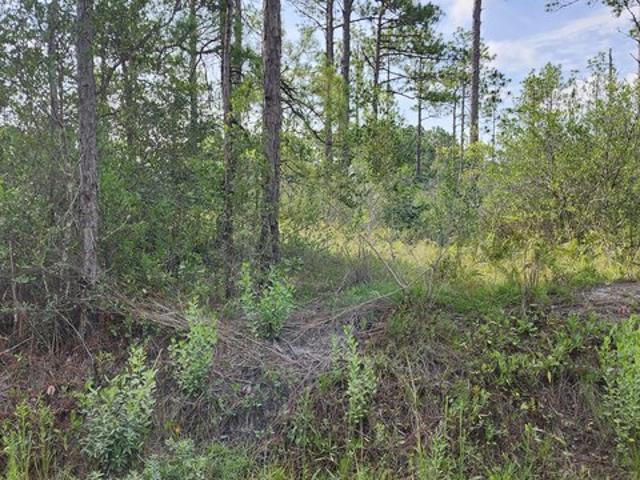 Queens Rd Lot 452, Southport, NC 28461