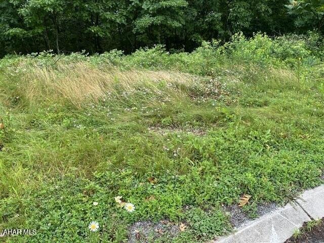 Queens Way Lot 71, Altoona, PA 16601