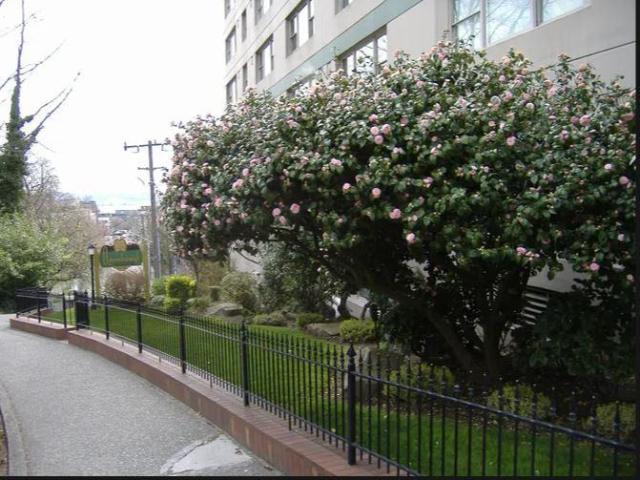 Queensborough and The Leonard Studio Apartment for Rent at 101 West Olympic Place, Seattle, WA 98119 Lower Queen Anne