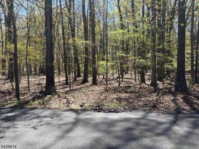 Quenby Mountain Rd, Liberty Township, Plot For Sale