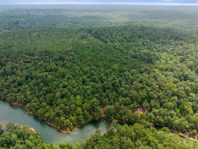 Quiet Cv Lot 1, Double Springs, AL 35553