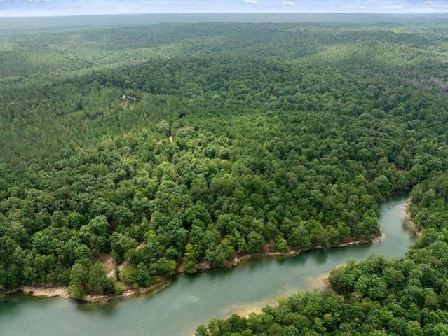 Quiet Cv Lot 5, Double Springs, AL 35553