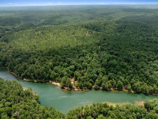 Quiet Cv Lot 8, Double Springs, AL 35553