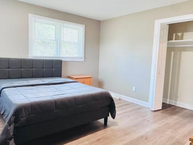 Quiet Furnished Room for Working Professional