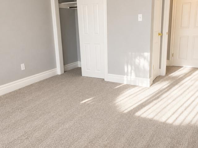 Quiet Location Central to Everything 2 Bedroom Apartment for Rent at 550 Webster St, Lakewood, CO 80226 North Alameda