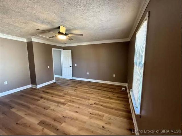 Quiet room available in cat friendly home