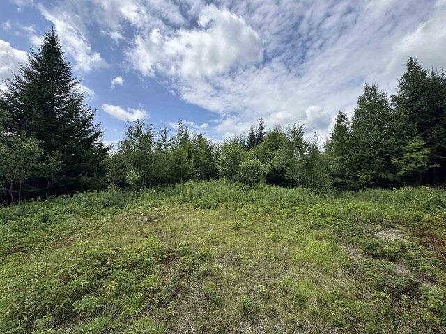 Quimby Rd Lot,stewartstown, Plot For Sale