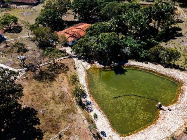 Quintal com piscina, e que piscina