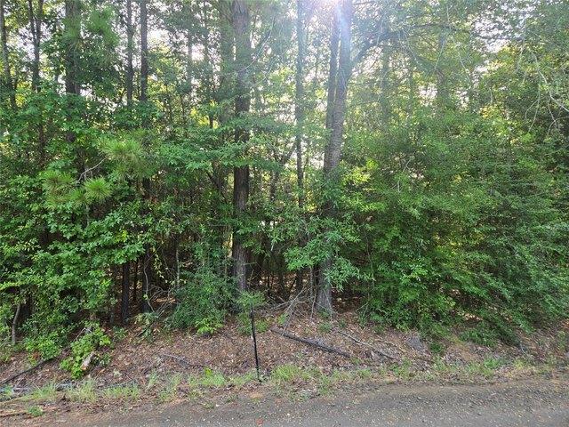 R000104 Leisure Dr, Hemphill, TX 75948