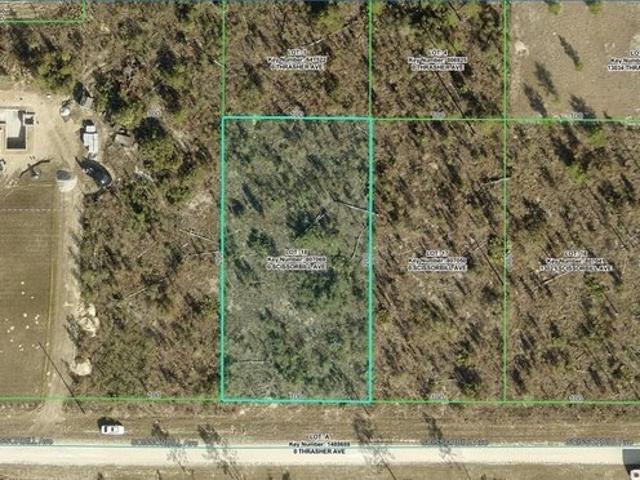 R01 221 17 3360 0696 0 Scissorbill Ave, Weeki Wachee, FL 34614