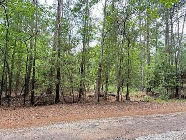 R033231 Dusky Ln, Brookeland, TX 75931