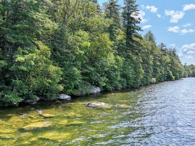 R04 02 Perkins Cove Ln, Oxford, ME 04270