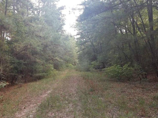 R16902 Medicine Man Cir Lot 9, Hempstead, TX 77484