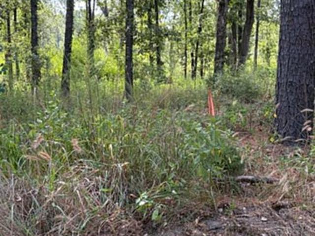 R2155 Miles Rd, Lufkin, TX 75901