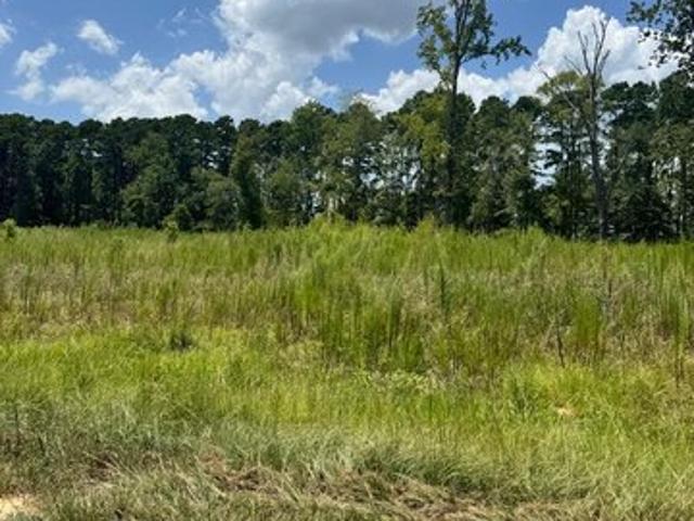 R28429 Private Road 7700, San Augustine, TX 75972