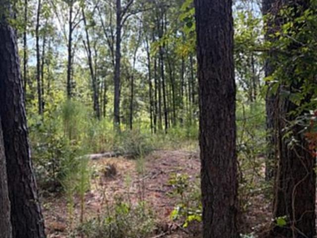 R3155 Miles Rd, Lufkin, TX 75901