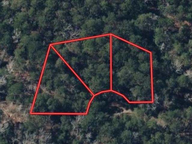 R33490 Burrow Ln, Brookeland, TX 75931