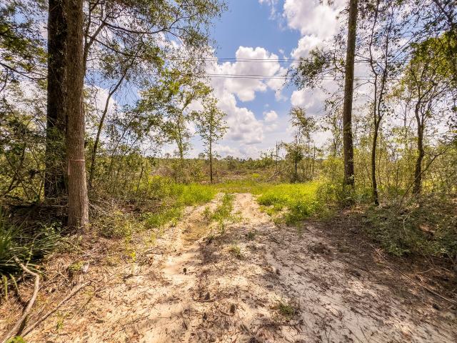 R53358 Hwy 94, Apple Springs, TX 75926 | MLS #12611