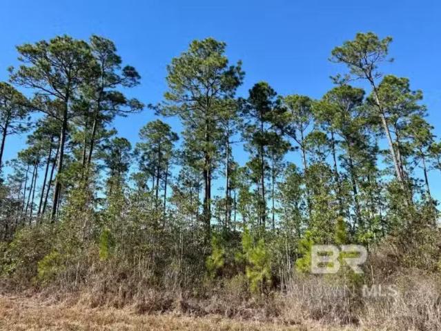 r OBERT WHITE ROAD, BAY MINETTE AL 36507 Vacant Land For Sale.