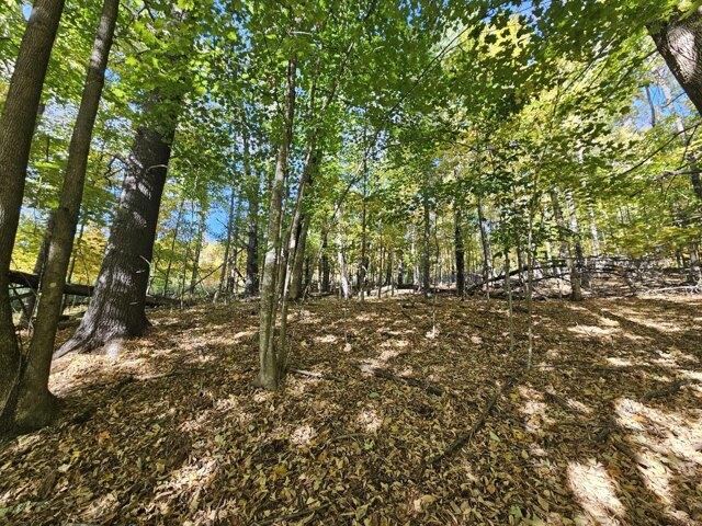 R A Norton Hill Rd, Strong, Plot For Sale