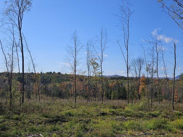 R Bailey Hill Rd, Farmington, Plot For Sale