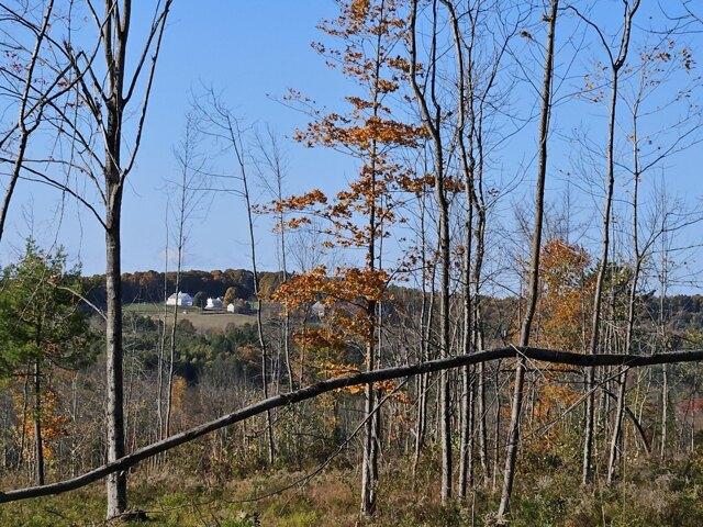 R Bailey Hill Rd, Farmington, Plot For Sale