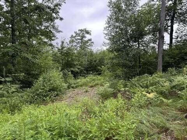 R d Christian Hill Rd, Lovell, Plot For Sale