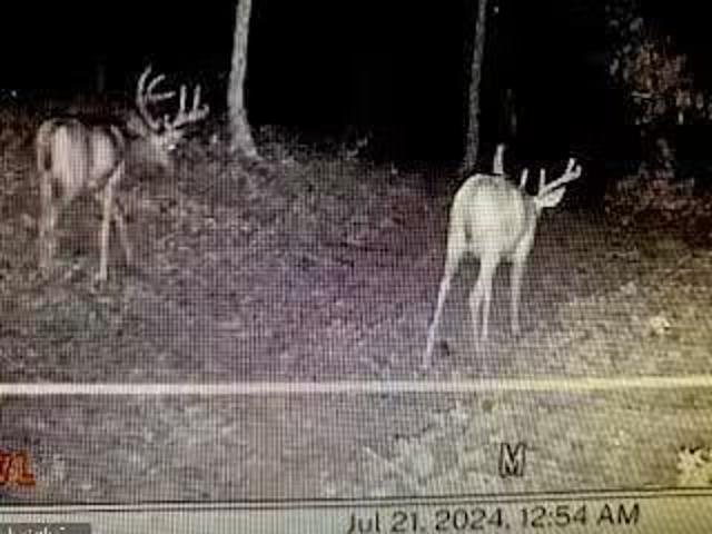 r EAR OF 399 BECK MILL ROAD, HANOVER, PA 17331 Vacant Land For.
