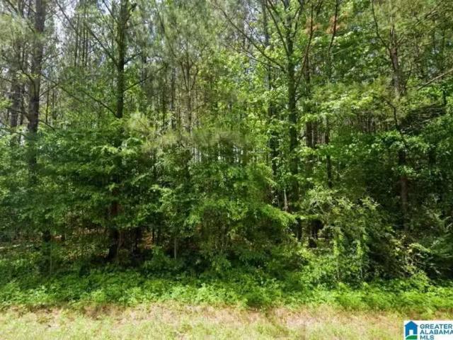 r ENFROE ROAD, ALPINE, AL 35014 Vacant Land For Sale MLS# 213.