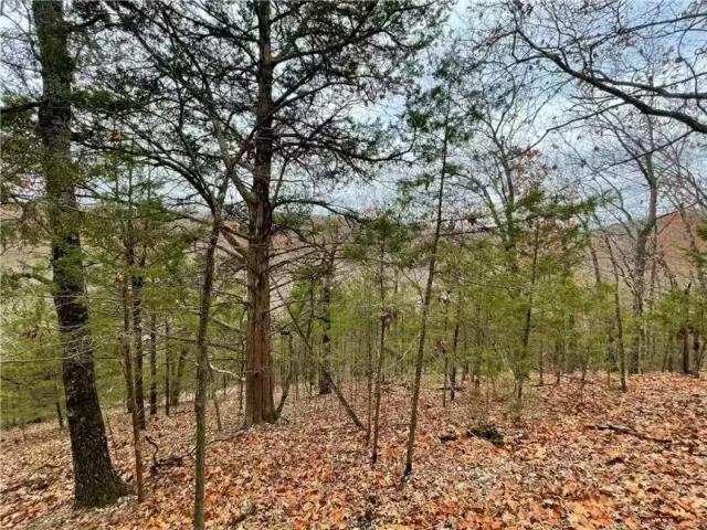 r IDGE ROAD, GARFIELD, AR 72732 Vacant Land For Sale MLS# 129.