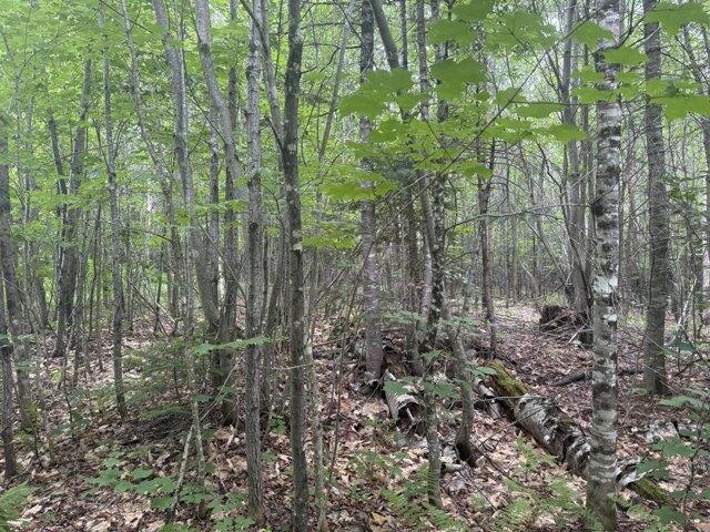 R L Hovey Rd, Farmington, Plot For Sale