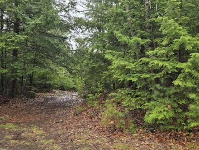 R Parsons Rd, Paris, Plot For Sale