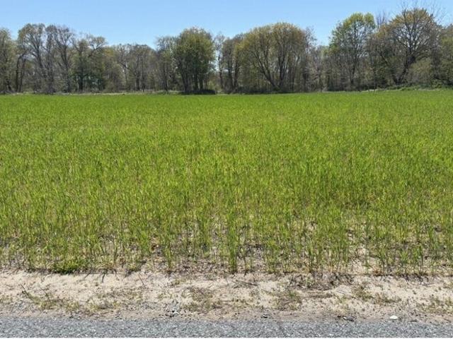 R Providence Bldr St Lot,rehoboth, Plot For Sale