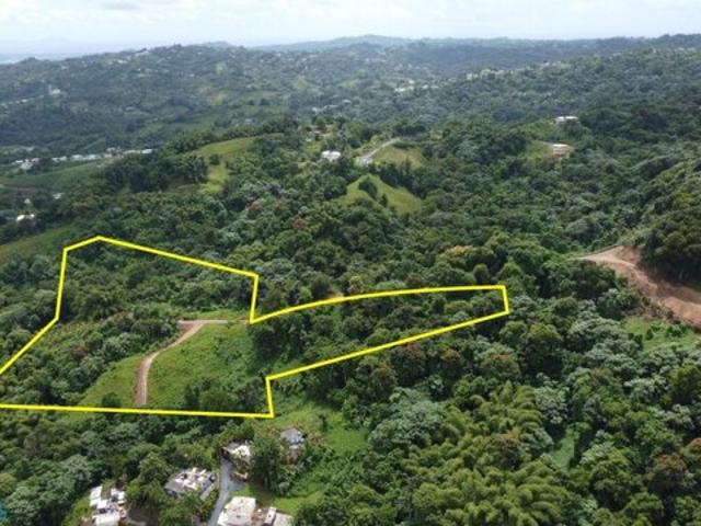 R Sector Carmita Jimenez Units,a, Juncos, Plot For Sale