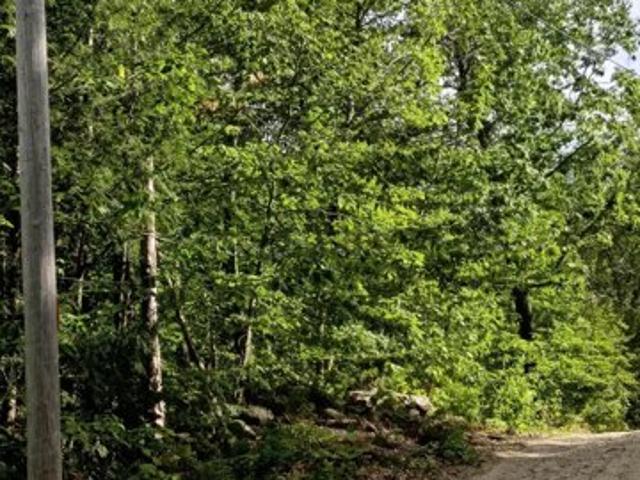 R/ Weeks Rd, Parsonsfield, Plot For Sale