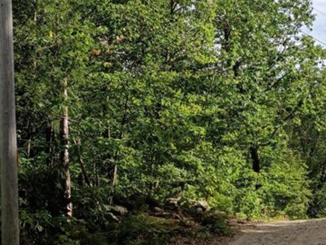 R/ Weeks Rd, Parsonsfield, Plot For Sale