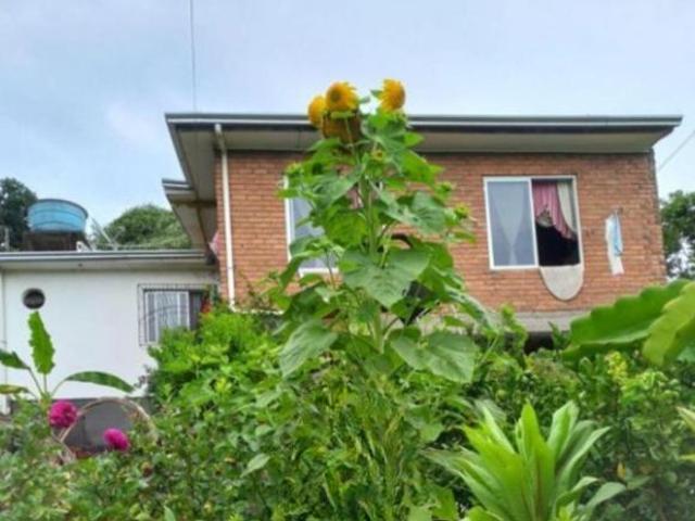 R$ 440.000 Casa alvenaria com sala e cozinha campeira no Bairro Salgado Filho Caxias do Sul/RS