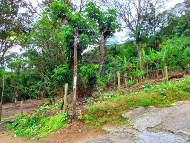 R$ 539.000,00 TERRENO A VENDA COM 3000M² TOQUE TOQUE PEQUENO 11 9 9194 5074 WhatsApp. 24h