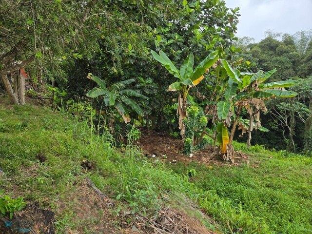 Ramal Bo Angeles Unit Carr Unit Carr, Utuado, Plot For Sale