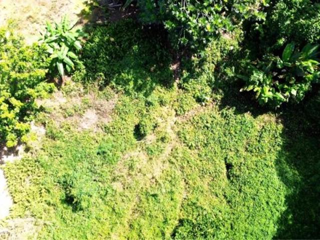 Ramal Bo Angeles Unit Carr Unit Carr, Utuado, Plot For Sale