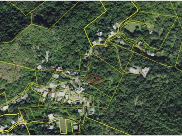 Ramal Bo Guayabal Sitio Lajita Unit A, Juana Diaz, Plot For Sale