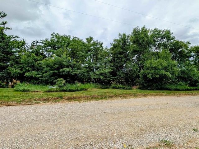 Rambleridge Dr Lot 5, Blair, NE 68008