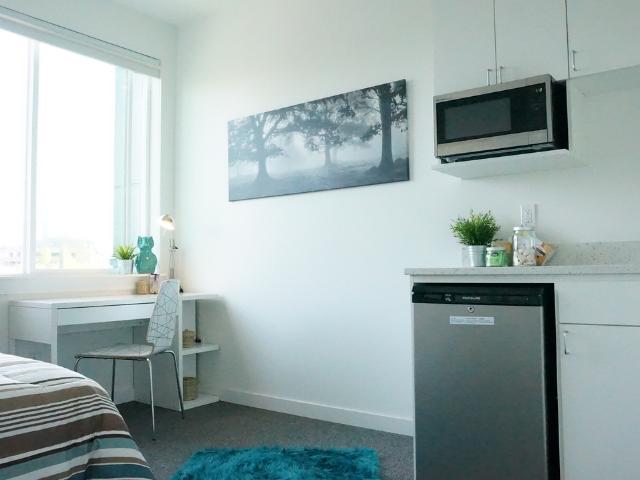 Ramiro's Place Studio Apartment for Rent at 200 10th Ave E, Seattle, WA 98102 Broadway
