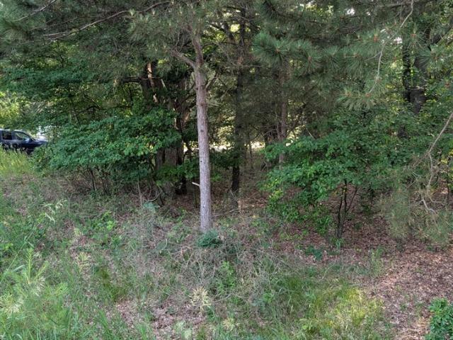 Ramona Drive # lot 14