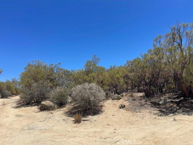 Ramsey, Anza, CA 92539