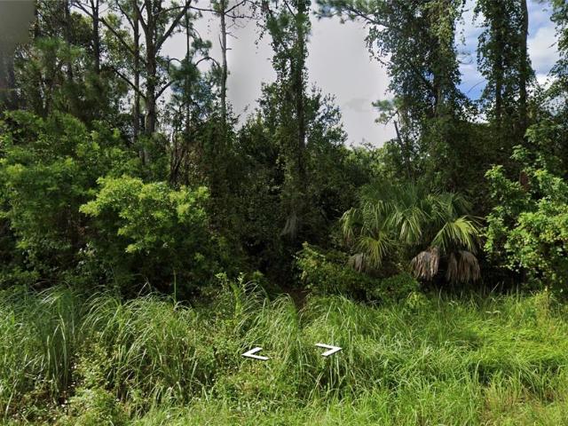 Ramsey, Palm Bay, FL 32909 | MLS #O6237