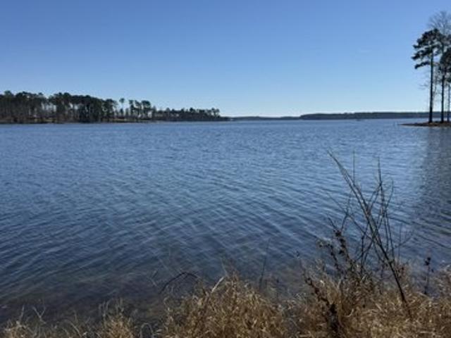 Ramsey Rd Lot 13, Chatham, LA 71226