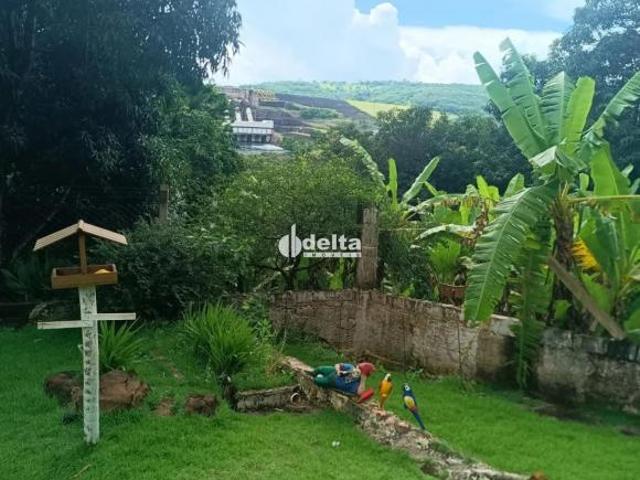 Rancho com 4 suítes disponível para venda na Área Rural de Uberlândia MG