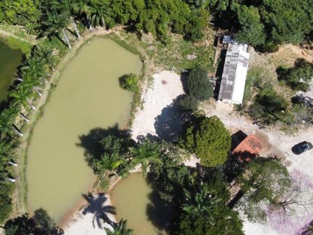 RANCHO BELGA P SUL ATRAS DO POR DO SOL 2 CASAS 4 HECTARES CESSÃO DE DIREITOS
