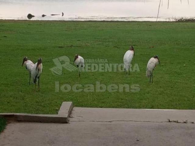 Rancho Loteamento Associação Recreativa Bela Vista Cidade de Mira Estrela